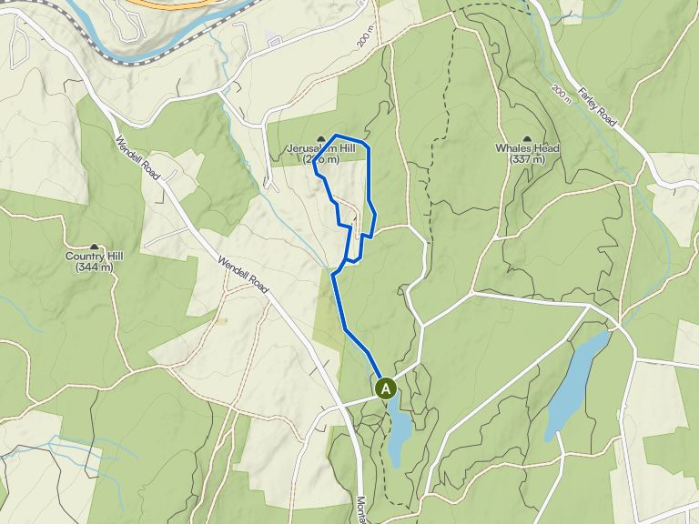 Jerusalem Hill – Wendell State Forest | hike | Komoot